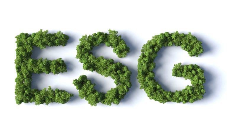 Simplified ESG Disclosure Guide (SEDG)